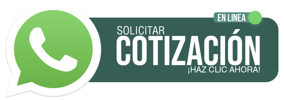 Diplomado SSO (Virtual) - INFINITY ACADEMY®